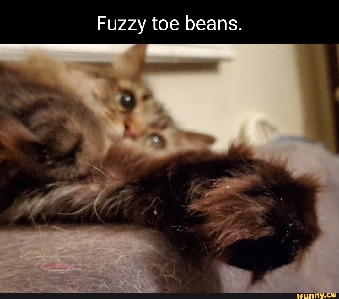 Fuzzy toe beans. - iFunny Brazil