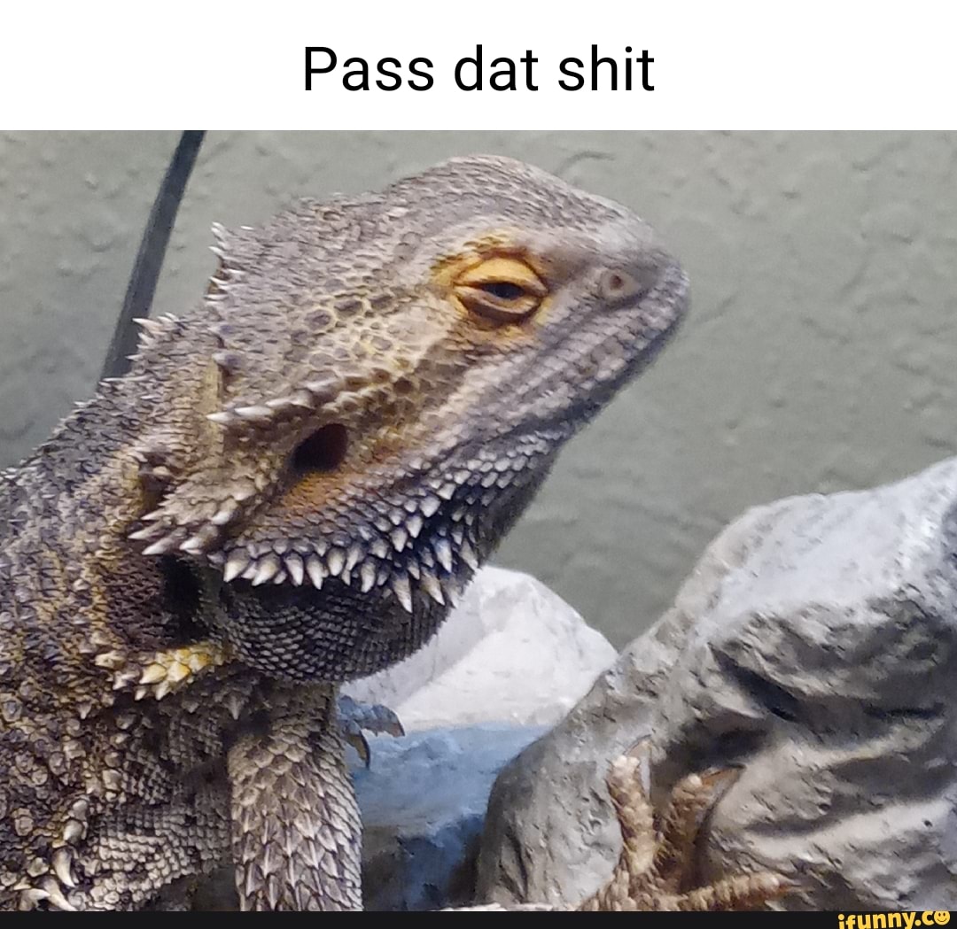 Pass dat shit - iFunny Brazil