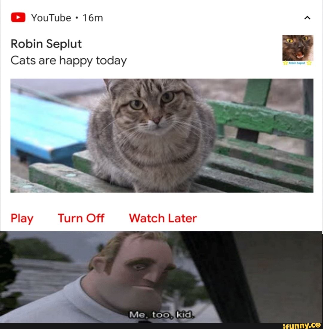 E YouTube Robin Seplut Cats are happy today Turn Off Watch Later ...