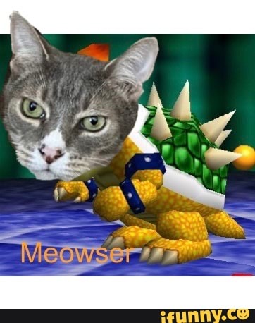 Meowser memes. Best Collection of funny Meowser pictures on iFunny Brazil
