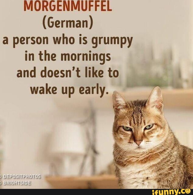 Grumpy Cat Waking Up