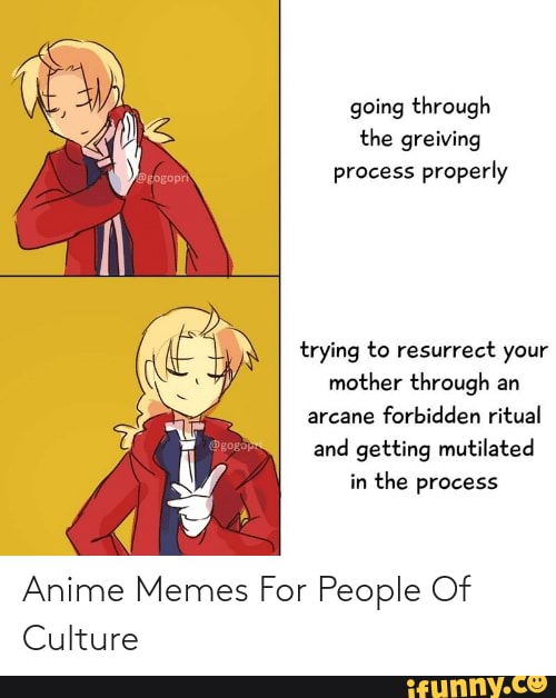 Anime Memes For People Of Culture - going through the greiving process ...