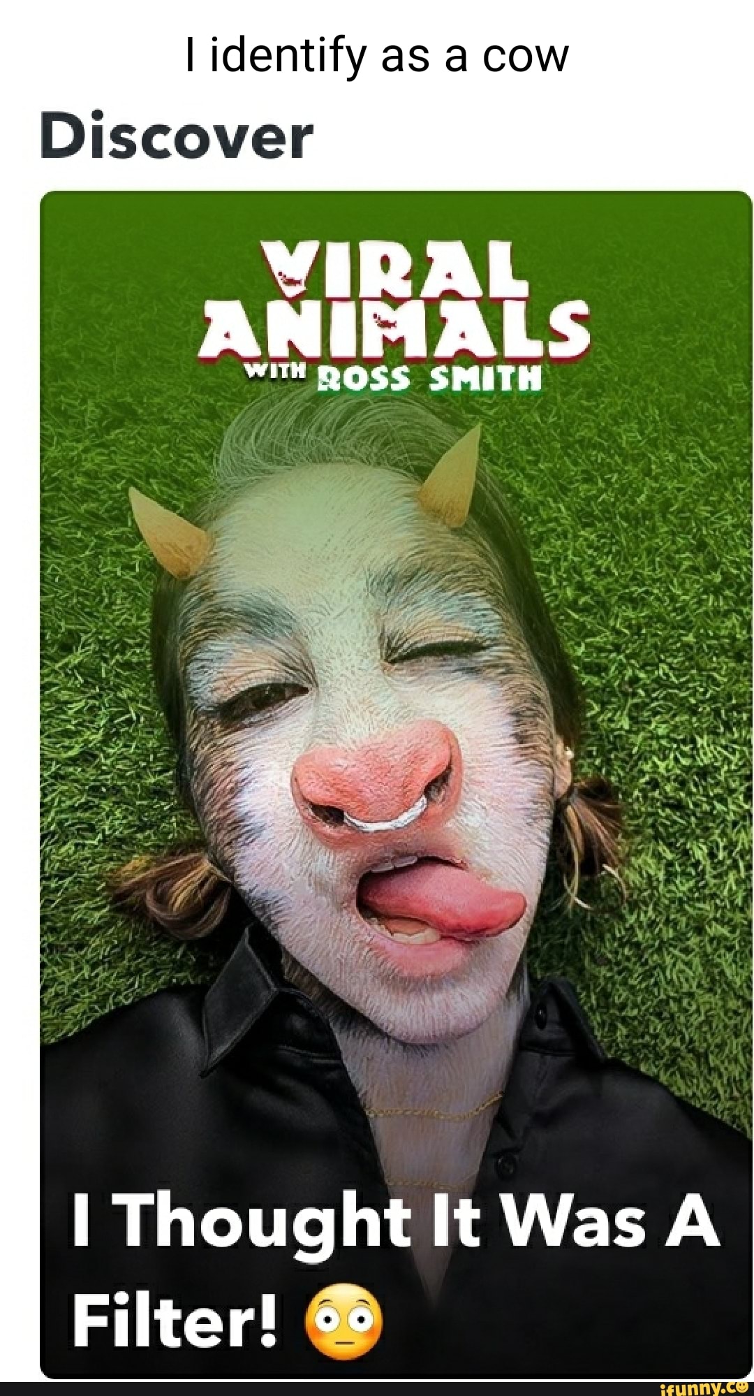 Identify as a cow Discover VIRAL ANIMALS wit ROSS SMITH I Thought It ...