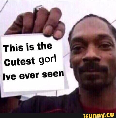 This is the Cutest gor! Ive ever seen - iFunny Brazil