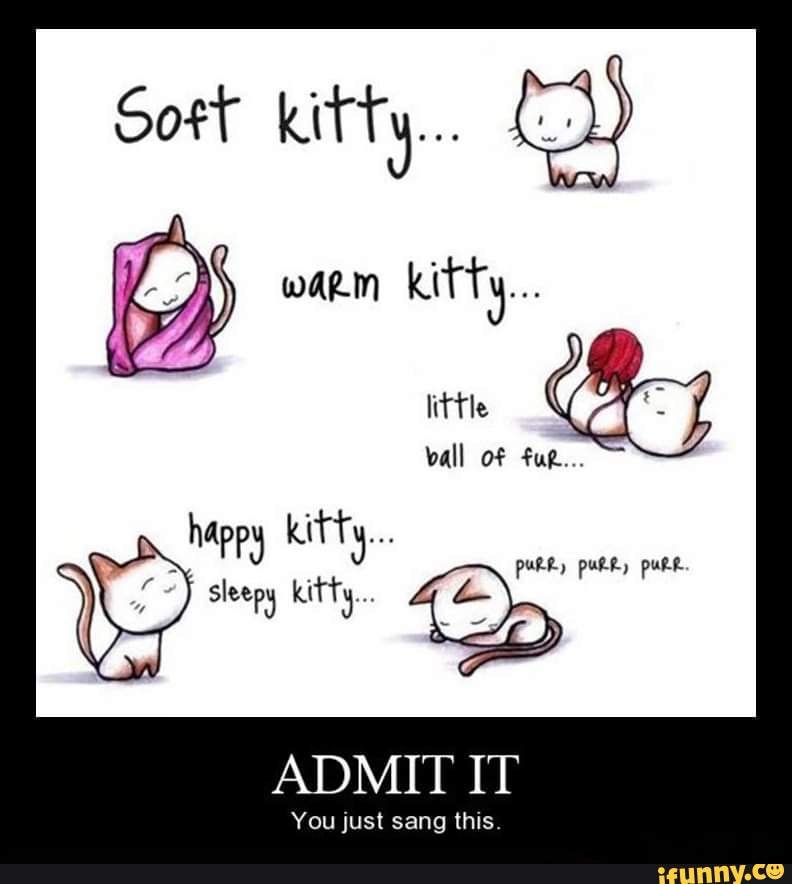 Soft kitty. warm kitty... le vall of fug... happy kitty... pukRy pure ...
