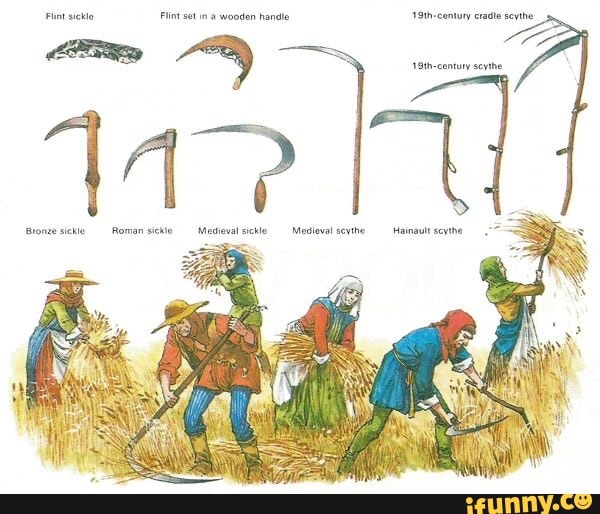 Medieval Sickle