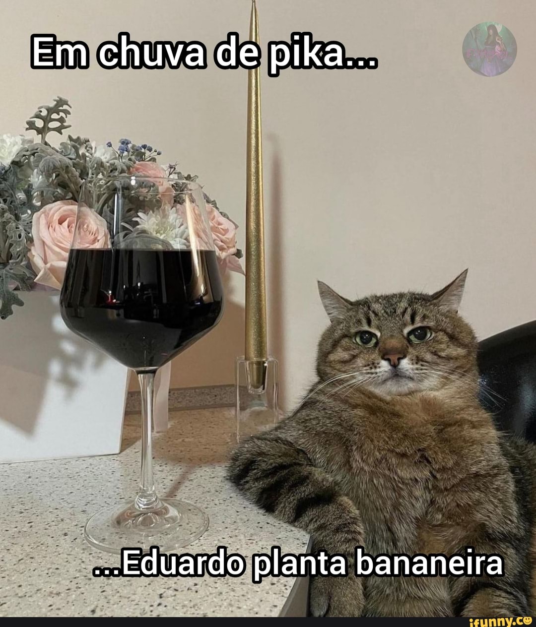 Em chuva de pika... Eduardo planta bananeira - iFunny Brazil