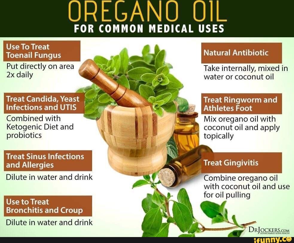 Ringworm memes. Best Collection of funny Ringworm pictures on iFunny Brazil