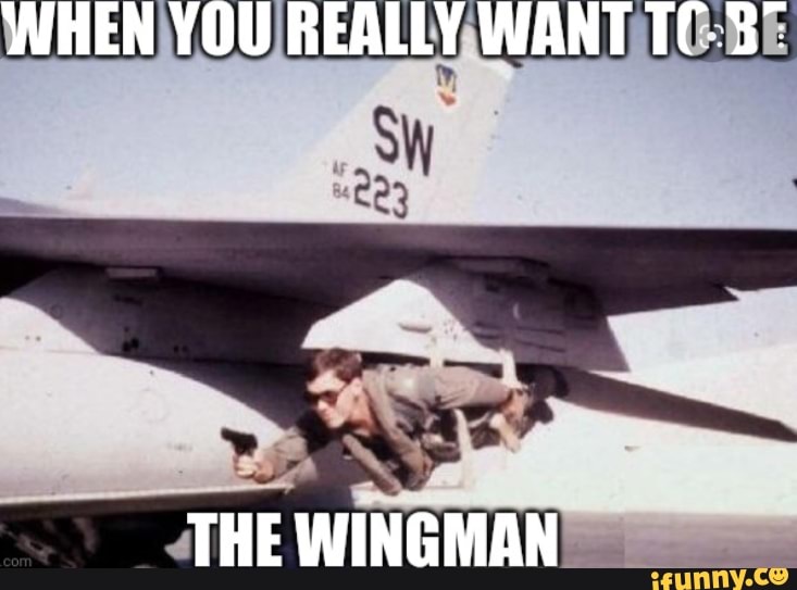 WHEN YOU REALLY WANT BE THE WINGMAN - iFunny Brazil