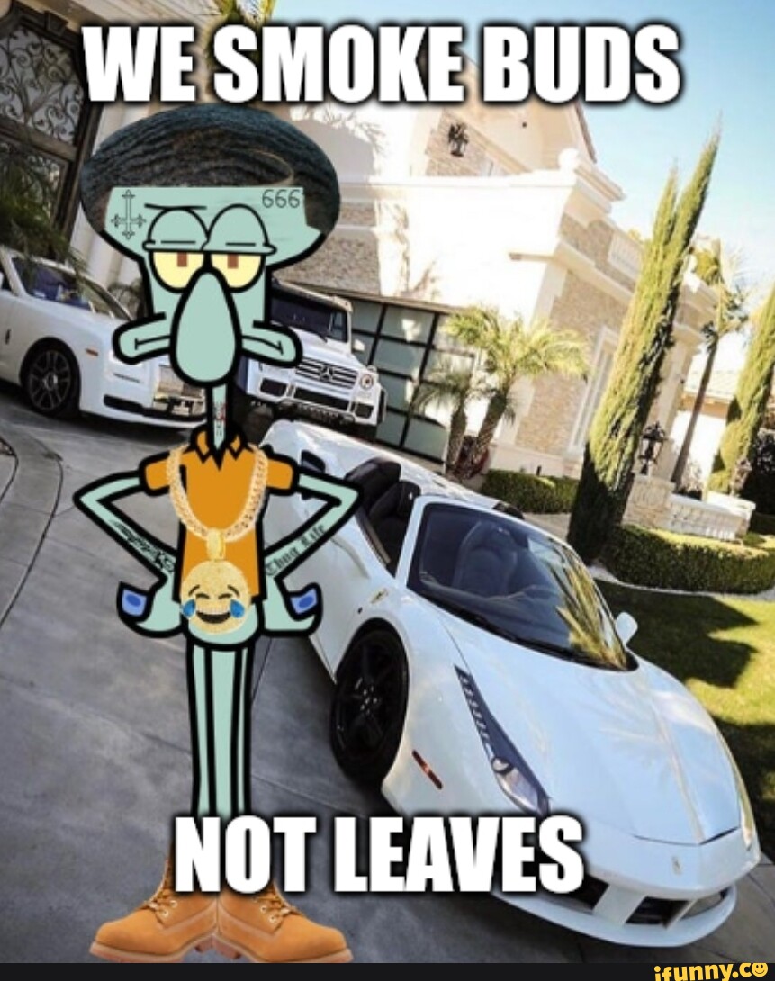 WE SMOKE BUDS NOT LEAWES - iFunny Brazil