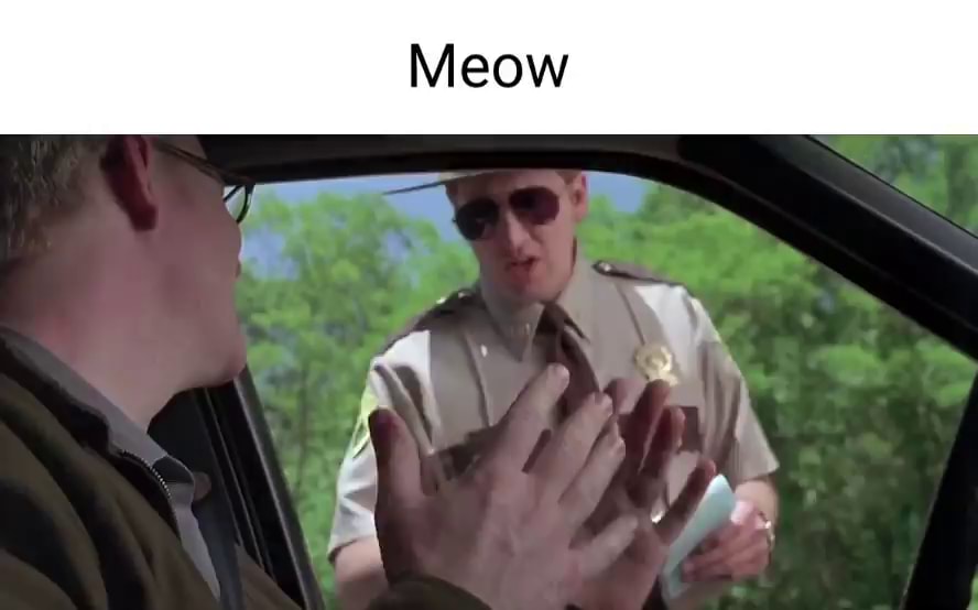 Right Meow Super Troopers