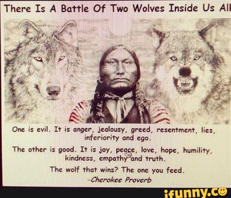 Two Wolves Fighting Inside You