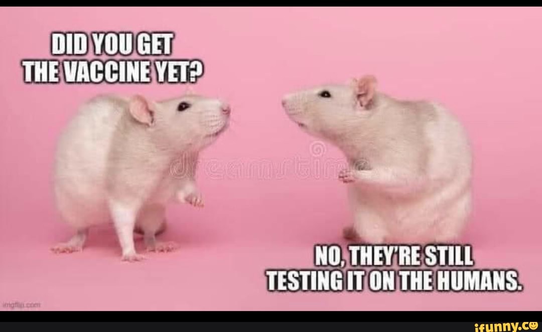 THE VACCINE YET? THOW RE STI TESTING THE HUMANS. - iFunny Brazil