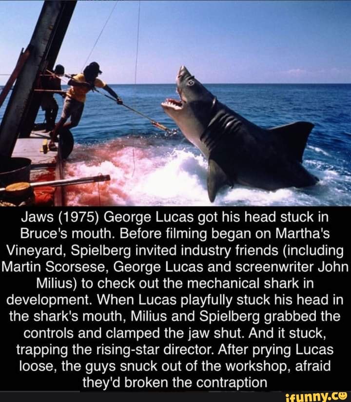 Jaws (1975) George Lucas got his head stuck in Bruce's mouth. Before ...