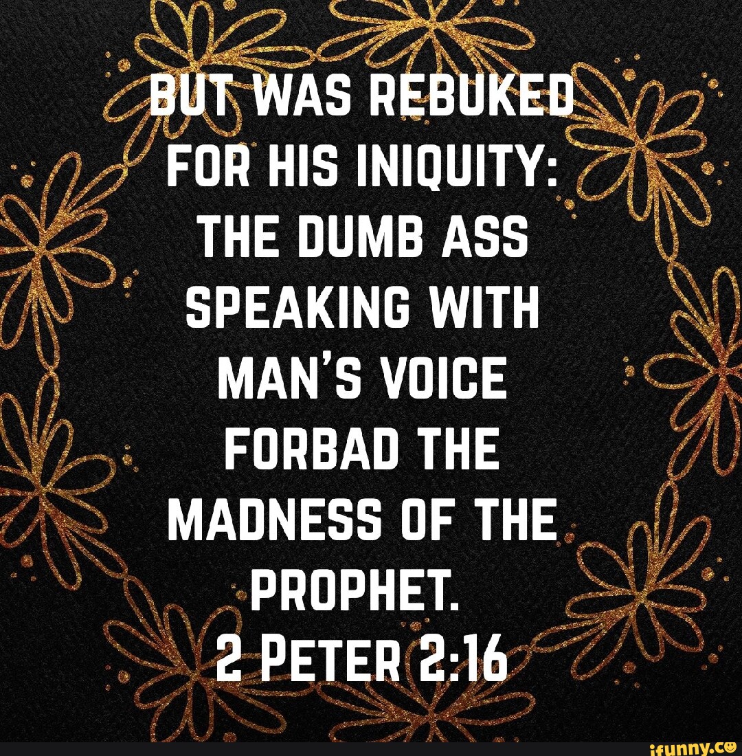 BUT WAS REBUKED FOR HIS INIQUITY: THE DUMB ASS SPEAKING WITH MAN'S ...