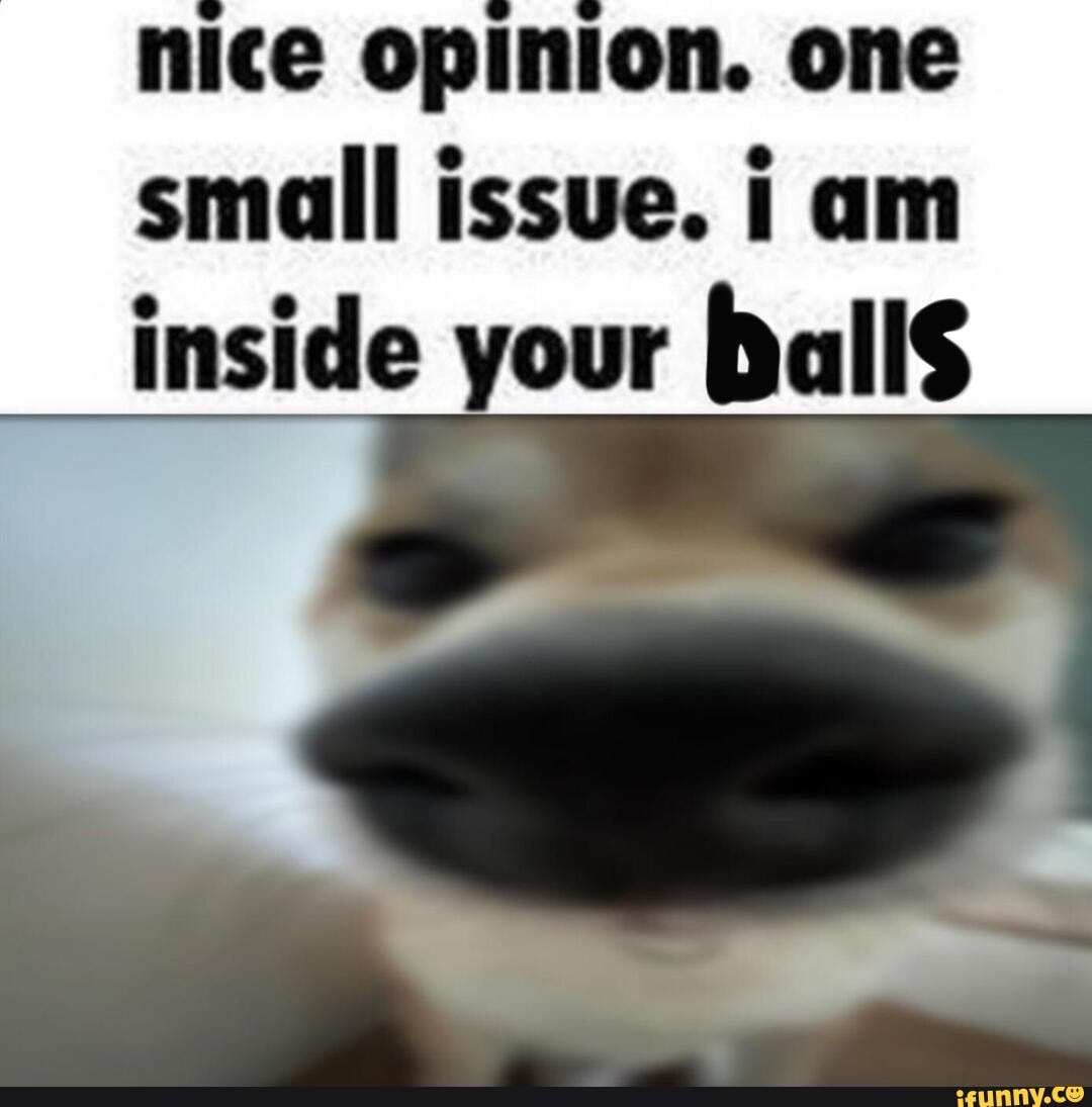 Small Balls Meme