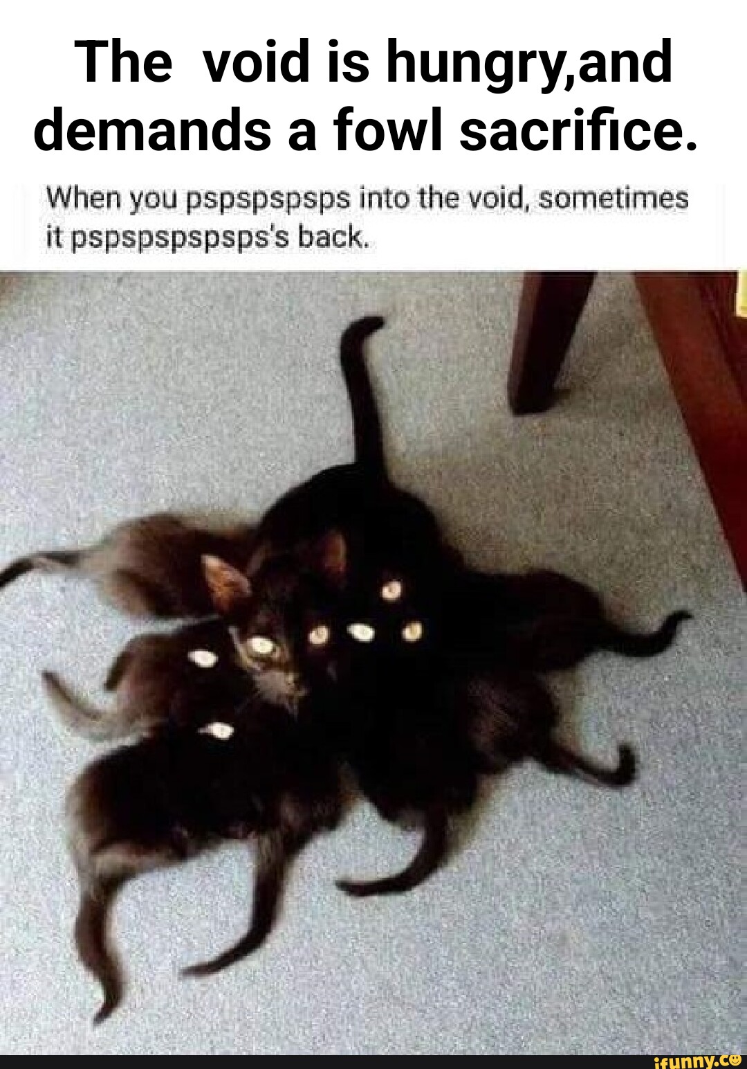 The void is hungry,and demands a fowl sacrifice. When you pspspspsps ...