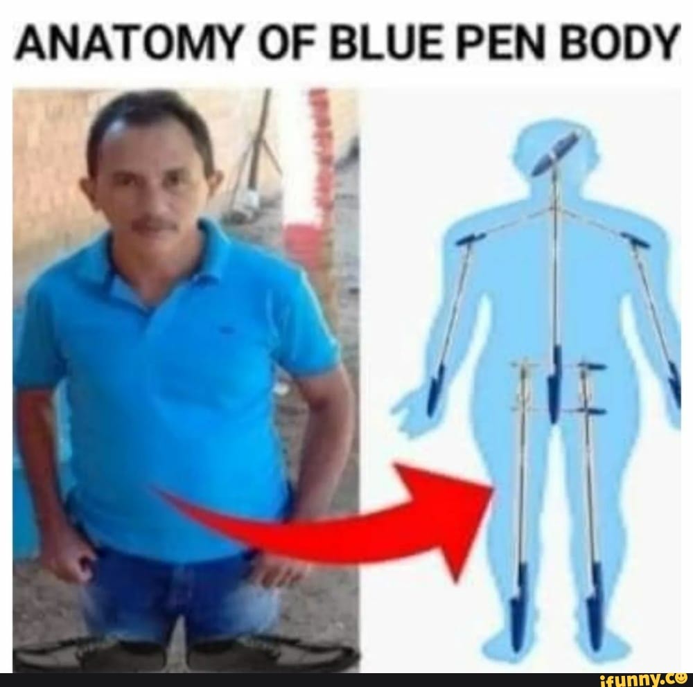 ANATOMY OF BLUE PEN BODY - iFunny Brazil