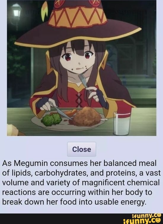 Close As Megumin consumes her balanced meal of lipids, carbohydrates ...
