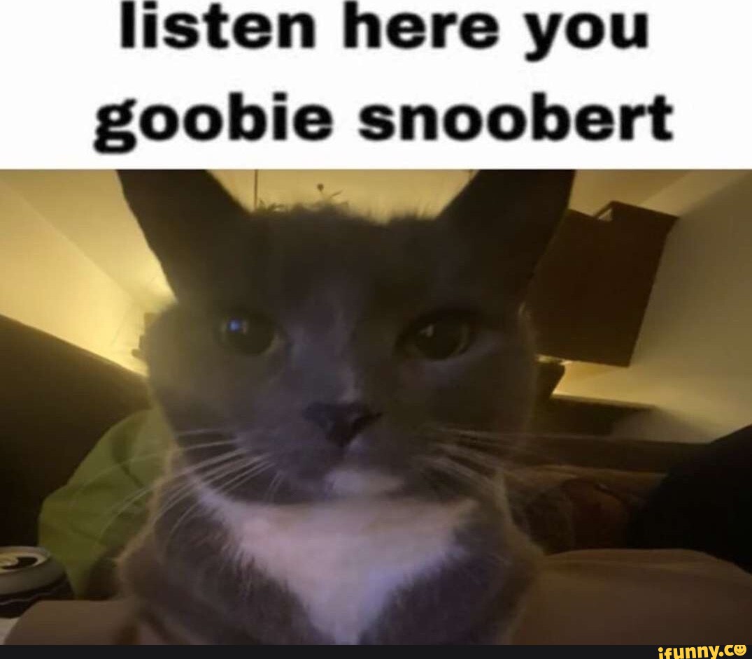 Isten here you goobie snoobert - iFunny Brazil