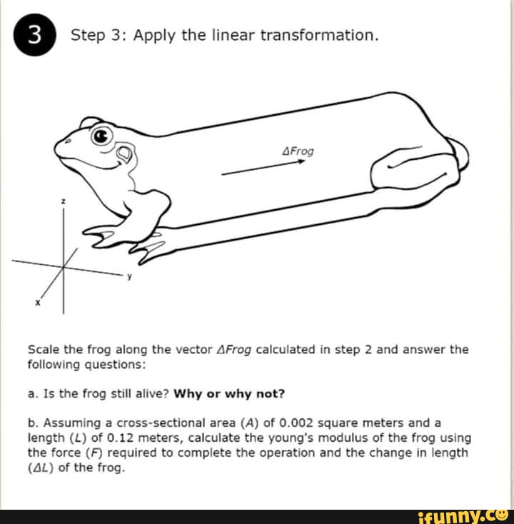 Step 3: Apply the linear transformation. Scale the frog along the ...