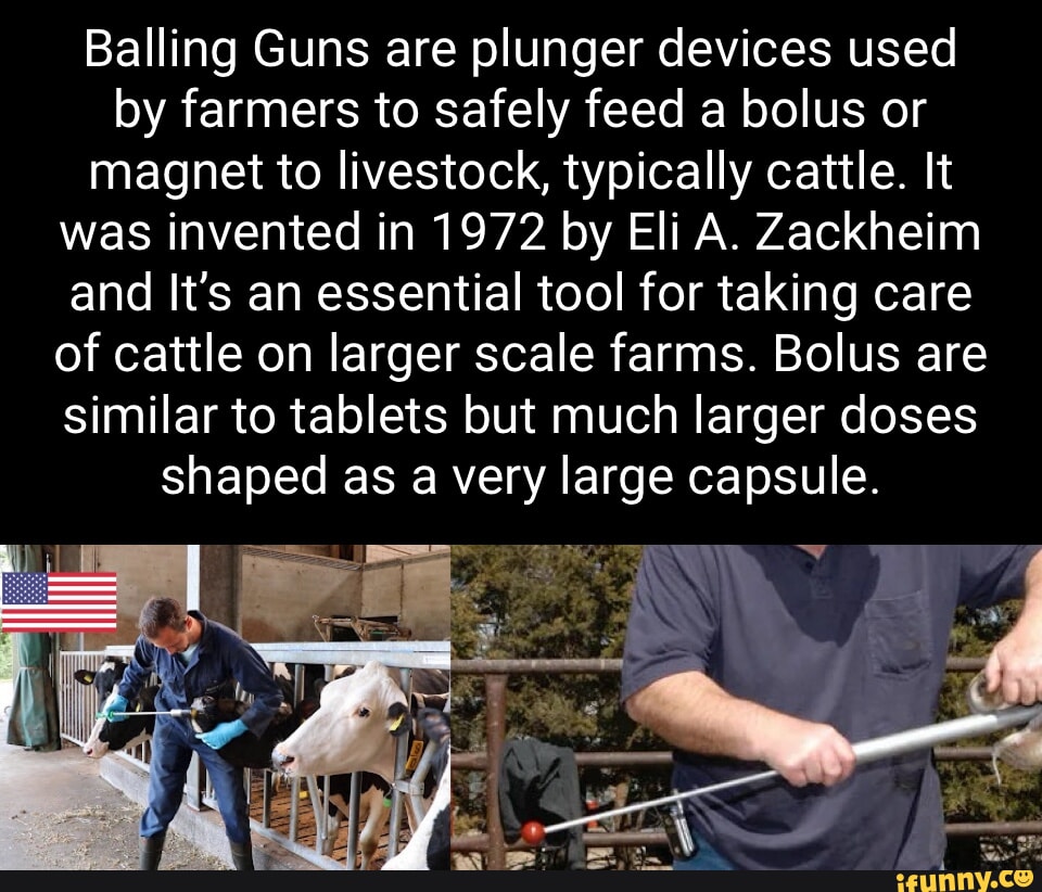 Balling Guns are plunger devices used by farmers to safely feed a bolus ...