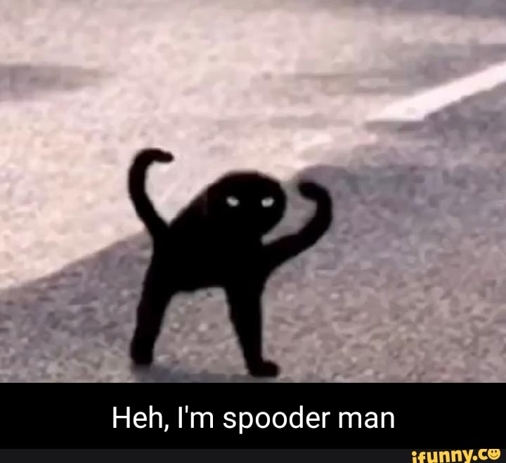 Heh, I'm spooder man - iFunny Brazil